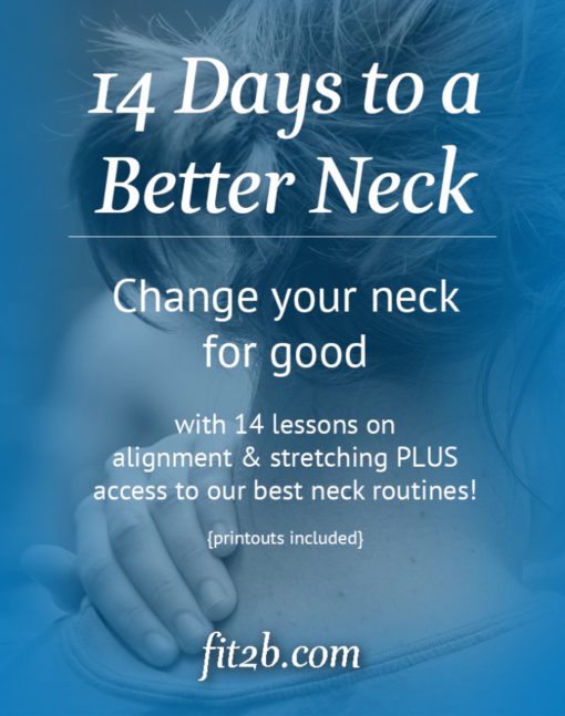 Ecourse: 14 Days to Better Neck Posture