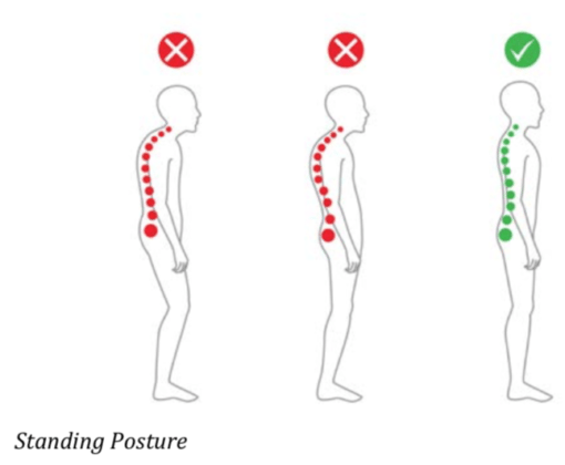 Standing Posture - Fit2B Studio