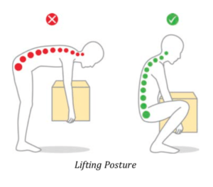 Lifting Posture – Fit2B Studio