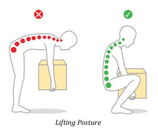 Lifting Posture - Fit2B Studio