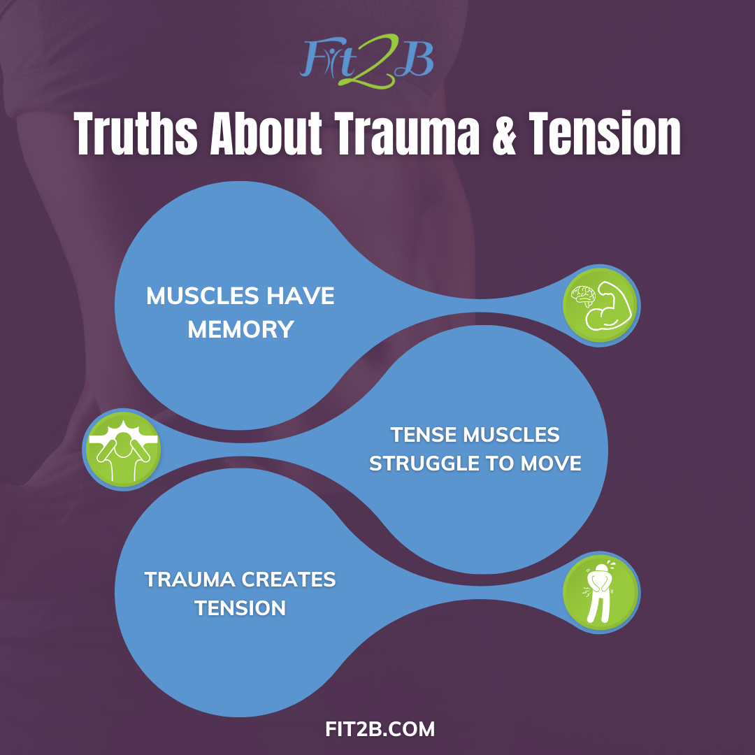 How Trauma Affects Your Tummy Muscles - Fit2B Studio