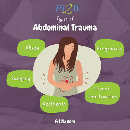 How Trauma Affects Your Tummy Muscles - Fit2B Studio